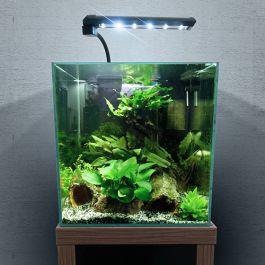 Aqua One 5.76w LED Lighting system for AquaNano 25 | Aqua One Parts