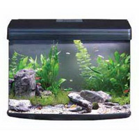 AquaStyle 620 Aquarium Spares & Accessories from Aqua One | Aqua One Parts