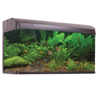 AR (AquaStyle) Aquarium Spares & Accessories from Aqua One | Aqua One Parts